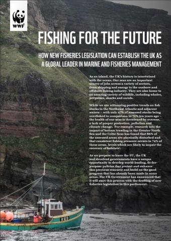 Fishing For The Future | WWF